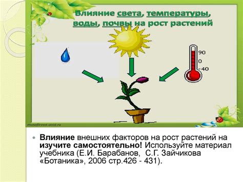 Основы физиологии растений - презентация онлайн