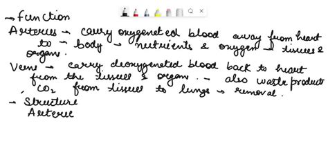 Solved Texts Label The Ecg Trace Diagram Below With P Qrs And T