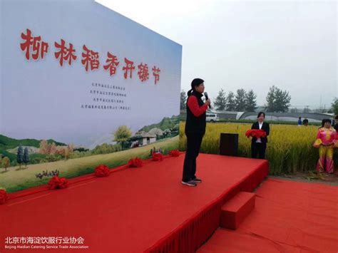 协会组织柳林稻香开镰节正式开启 北京市海淀饮服行业协会