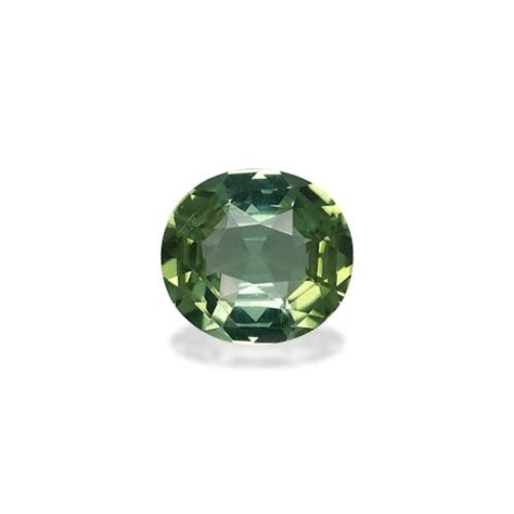 Green Tourmaline 1289ct Tg1534