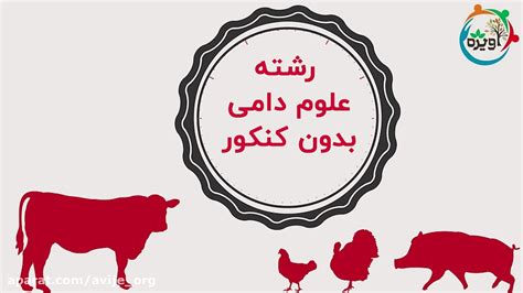 رشته علوم دامی بدون کنکور