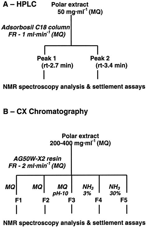 Diagram Of The Bioassay Guided Fractionation Of The Polar Extract Of Download Scientific