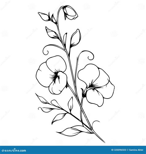 Easy Sweet Pea Flower Drawing Painting Sweet Pea Creeper Drawing