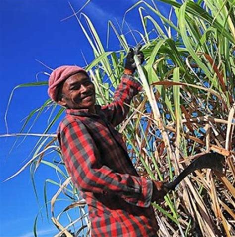 อย่างฮา หนุ่มสงสัยทำไมฝรั่งใส่เสื้อลายสก็อตถึงหล่อ แต่คนไทยใส่กลับเหมือนคนตัดอ้อย