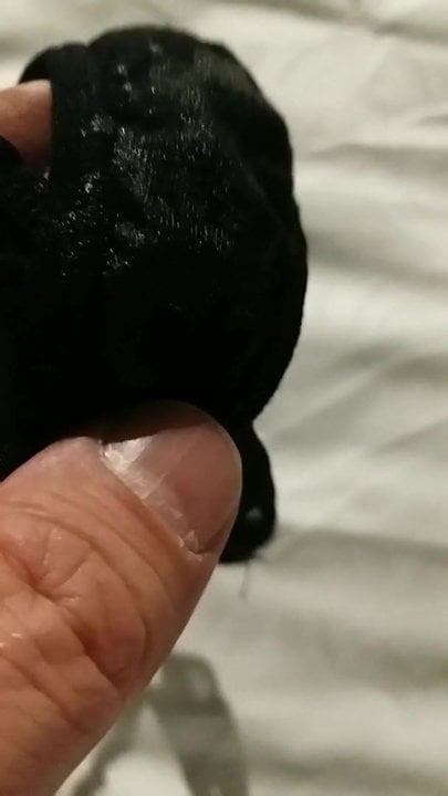 Sex Und Liebe XHamster