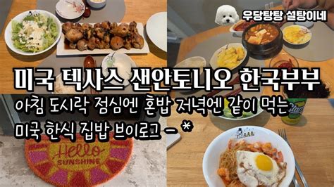 🍱 남편도시락 🍚 집밥브이로그 🛒 하비러비 쇼핑 Heb 장보기 🍗갈비치킨 🍲된장찌개 🍝불닭파스타 🐶 우당탕탕 설탕이네 💛 Youtube