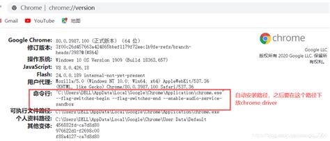 Pyecharts渲染图片的三种方法python 安装 Snapshot Selenium Csdn博客