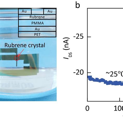 Flexible Temperature Sensor A Photograph Of The Flexible Sensor
