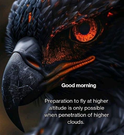 Pin Van Namrata Borkar Op Morning