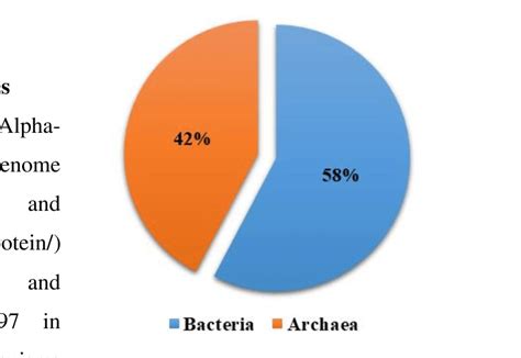 Number Of Thermophilic Organisms Producing Alpha Amylase Whose Whole