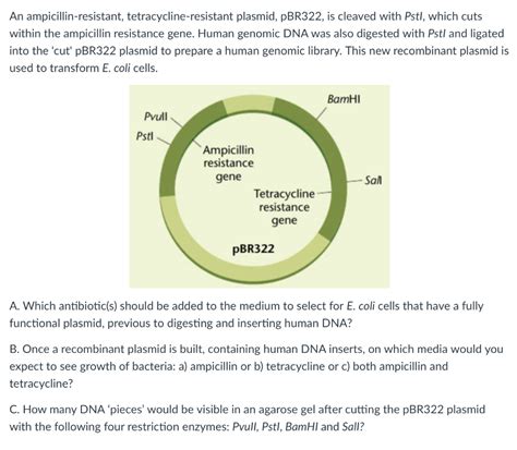 Solved An Ampicillin Resistant Tetracycline Resistant