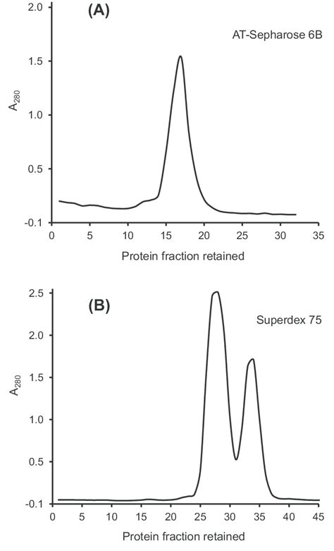 Chromatography Patterns Of Sambucus Ebulus L Fruit Lectins Mixed