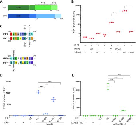 Characterization Of Distinct Molecular Interactions Responsible For Irf3 And Irf7