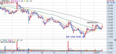 대덕전자 주가 And 전망 장중 분석 데이터 250120