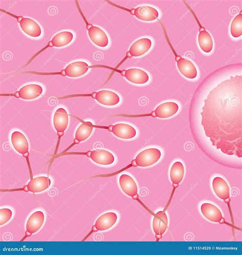 Sperm Natural Stock Illustration Illustration Of Orgasm