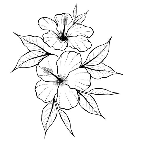 Free Vector Line Art And Hand Drawing Flower Art Black And White Flat