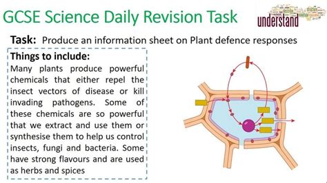 GCSE Daily Revision Task 16 Plant Defences Gcse Science Revision Gcse Science Revision