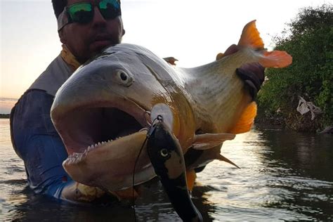 Pesca En El Río Paraná Desde Rosario Reserva En