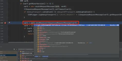 跨语言的艺术weblogic 序列化漏洞和 Iiop 协议 🔰雨苁ℒ🔰