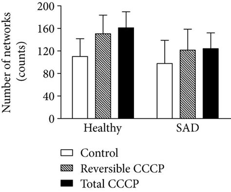 Analysis Of Mitochondria Network A Representative Images Showing