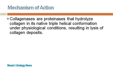Xiaflex Collagenase Clostridium Histolyticum Renal And Urology News