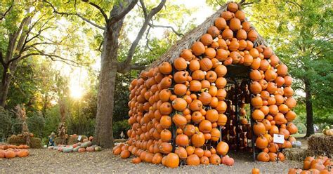 Pumpkin Patch 2025 Near Me Francis V Baxley