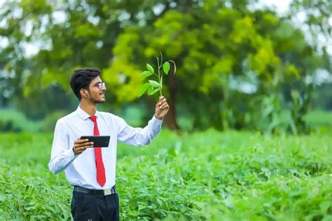Crop Yields Key Factors Influencing Crop Yields And Productivity