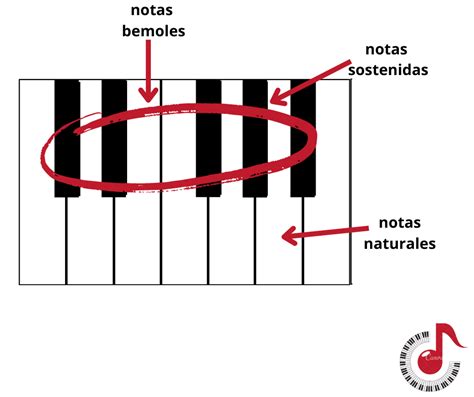 Notas Del Piano