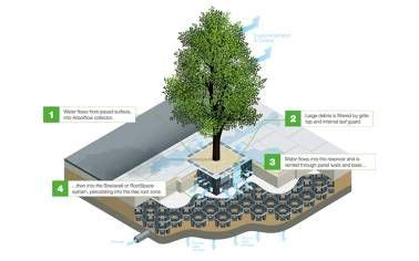 Stormwater Management Urban Tree Stormwater Management Stormwater