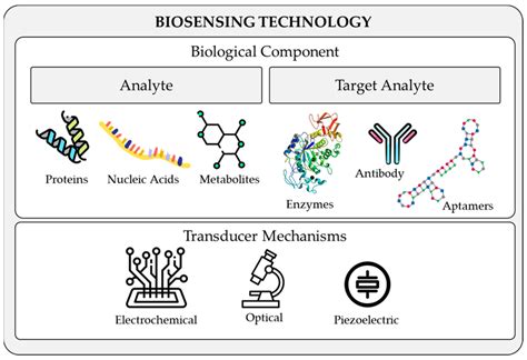 Schematic Of Different Parts Of A Biosensor Download Scientific Diagram