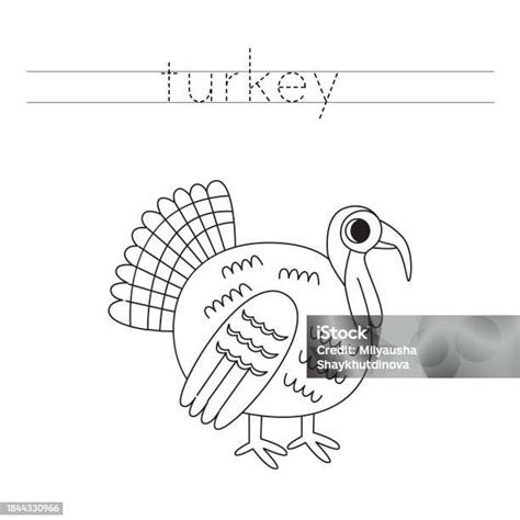 글자를 추적하고 만화 칠면조를 색칠하세요 아이들을 위한 손글씨 연습 0명에 대한 스톡 벡터 아트 및 기타 이미지 0명 가금류 가축 Istock