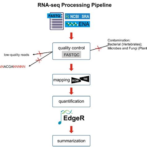 The Basic Workflow Of Rna Seq Analysis The Human Data Sets Collected Download Scientific