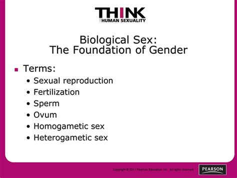 Chapter 3 Gender Now Ppt Download