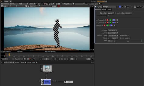 Using Roto Rotopaint Natron 2 5 0 Documentation