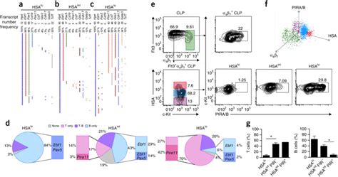 T Cell And B Cellbias Transcriptional Signature Are Co Expressed In Download Scientific