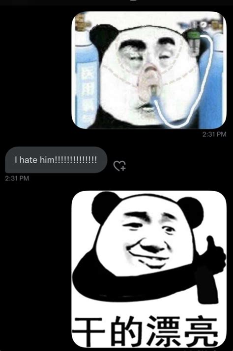 Chinese Panda Wearing Oxygen Mask Know Your Meme