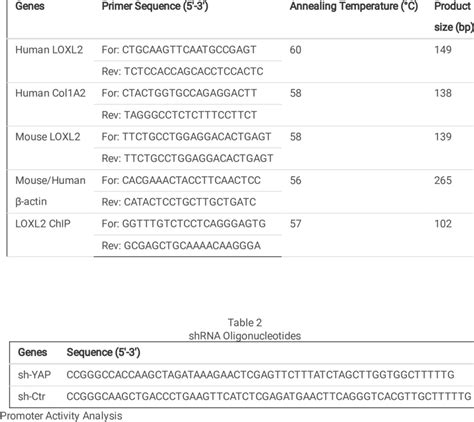Primers For Quantitative Real Time Pcr Download Scientific Diagram