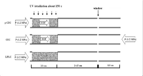 Schematic Diagram For Three Separation Modes Download Scientific Diagram