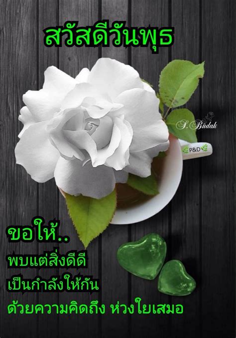 Happy Wednesday 🌿💚