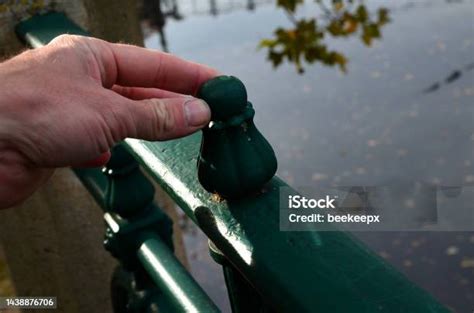 나무 아래 그늘에 있는 수변 산책로 작은 기하학적 모양의 석회암 큐브로 만든 기하학적 포장 물 위의 주철 난간은 녹색으로 칠해졌습니다 흥미로운 아르누보 세부 사항 갈색에