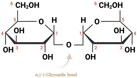 Structural Illustration Of Trehalose A Disaccharide Formed By