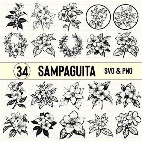 Sampaguita Flower Svg Bundle Silhouette Clipart Vector Png Sampaguita Vector Sampaguita