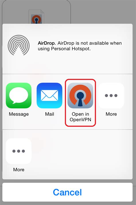 OpenVPN Installation On IPhone IPad IPod And Other IOS Devices