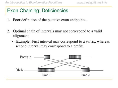 Ppt Gene Prediction Similarity Based Approaches Powerpoint