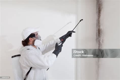 곰팡이 치료 서비스 주택 개조 현장에서 방호복과 호흡기 마스크를 착용하고 배낭 분무기로 집 페인트칠을 하기 전에 곰팡이를 제거하기 위해 제품을 분사하는 전문 작업자 Diy에