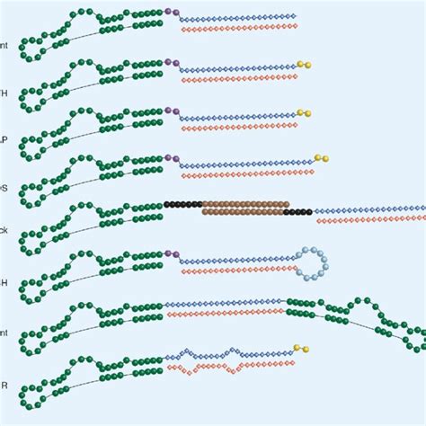 Aptamer Functionalized Nanoparticle Design Representative Aptamer Download Scientific Diagram