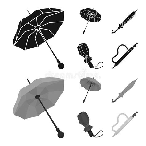 Isolated Object Of Protection And Closed Sign Set Of Protection And Rainy Stock Symbol For Web