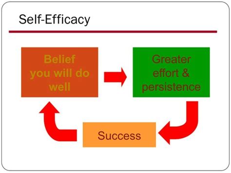 Self Efficacy Theory Flashcards Quizlet