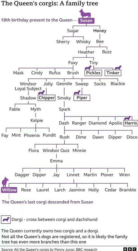 30 Charts That No One Probably Needed But Here They Are Anyway Bored