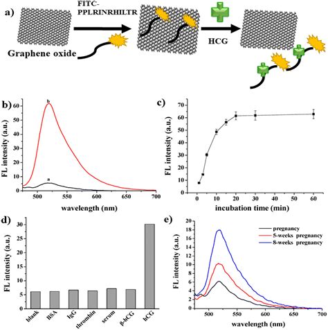 Functional Nanostructures In Analytical Chemistry New Insights Into The Optical And